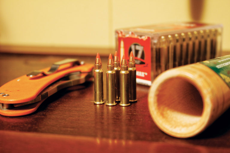 Evolution Of The Red-Hot .17 HMR | The Daily Caller