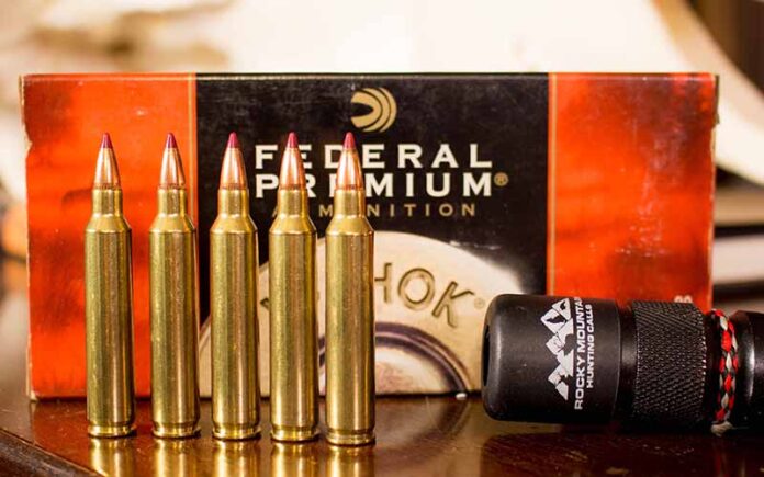 Little Fellas: Picking The Best Small-Bore Cartridge - Gun Digest