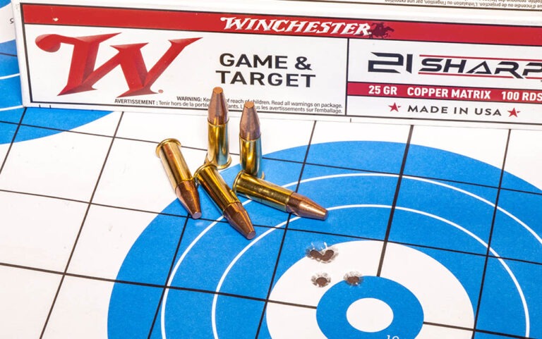 21 Sharp: A Closer Look At Winchester’s Latest Rimfire - Gun Digest