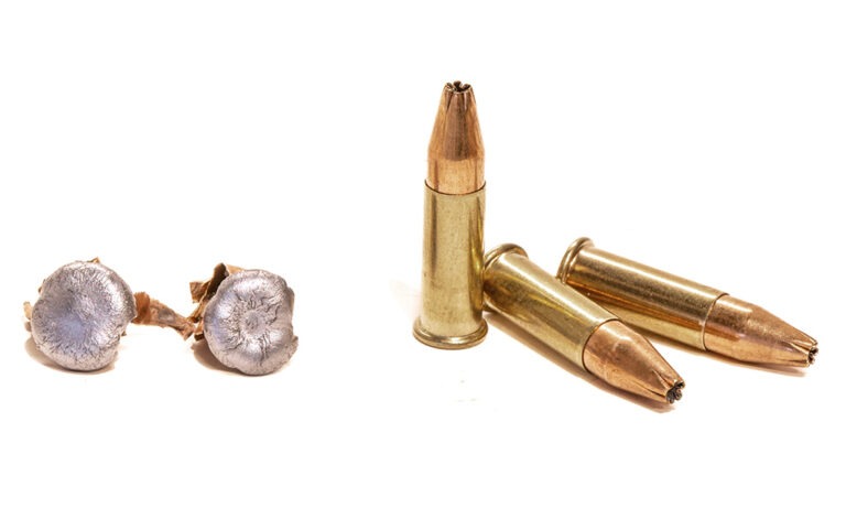 21 Sharp: A Closer Look At Winchester’s Latest Rimfire - Gun Digest