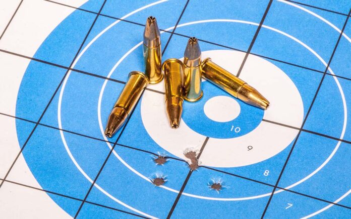 21 Sharp: A Closer Look At Winchester’s Latest Rimfire - Gun Digest