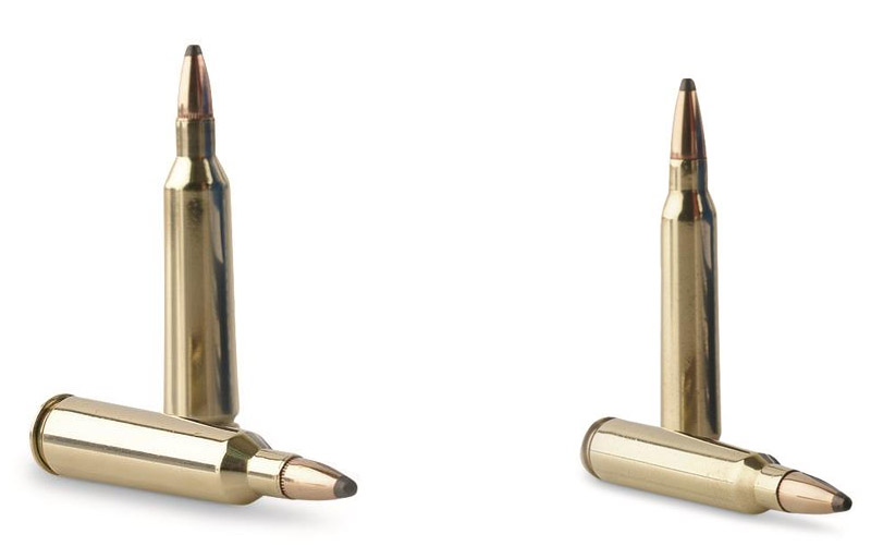  22 250 Vs 223 Is Extra Velocity Worth Extra Money Gun And Survival