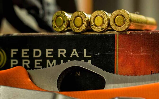 Little Fellas: Picking The Best Small-Bore Cartridge - Gun Digest