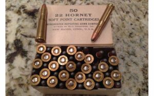 .22 Hornet: To Bee Or Not To Bee - Gun Digest