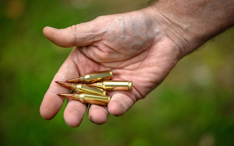 A Closer Look At Hornady’s .22 ARC - Gun Digest