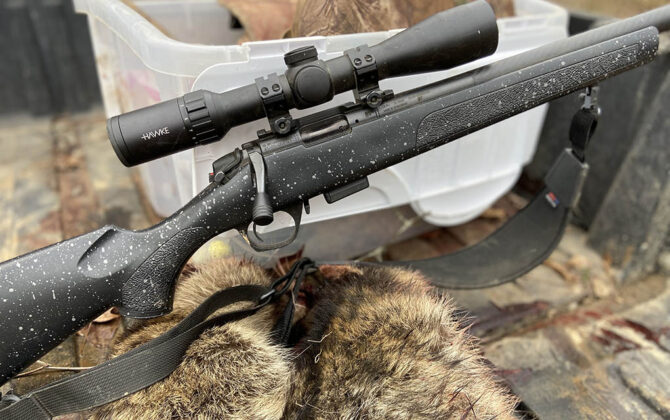 Is .22 Mag Overrated? - Gun Digest