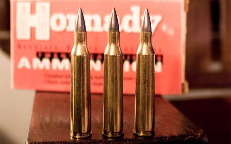 Little Fellas: Picking The Best Small-Bore Cartridge - Gun Digest