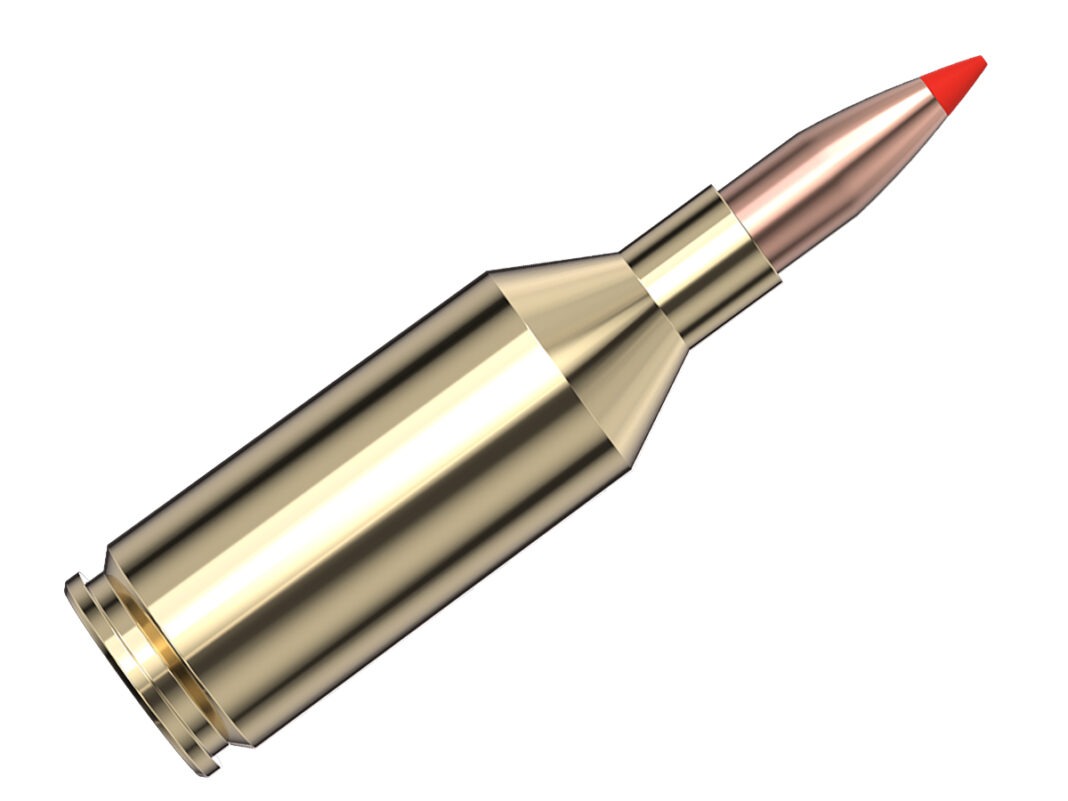 First Look: New Hornady Rifle Loads For 2025 - Gun Digest