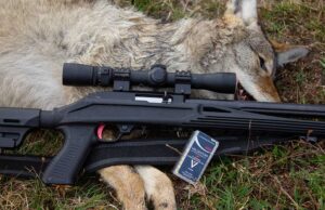 .22LR Ammo: Top Hunting Loads Tested - Gun Digest