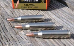 The Best .243 Winchester Rifles: A Buyer's Guide - Gun Digest