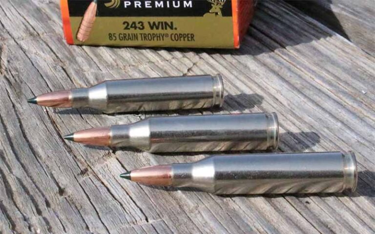 The Best .243 Winchester Rifles: A Buyer's Guide - Gun Digest