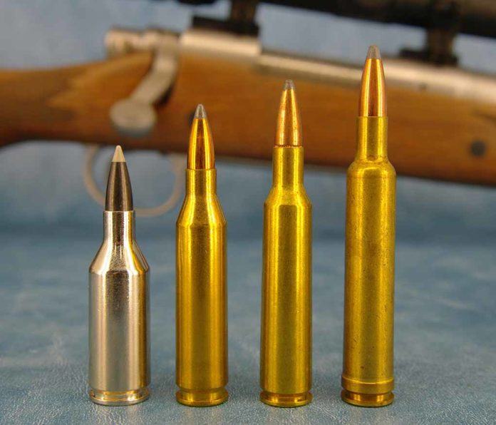 As a caliber, the 6mm has the least number of commercial members ...