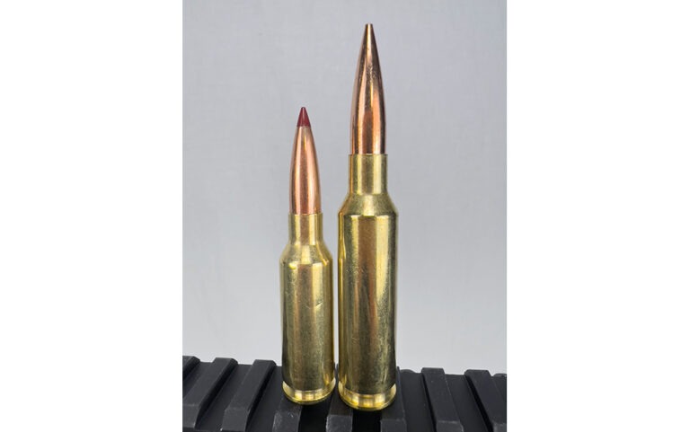 6.5 Creedmoor Vs. .308 Winchester: Which Wins? - Gun And Survival