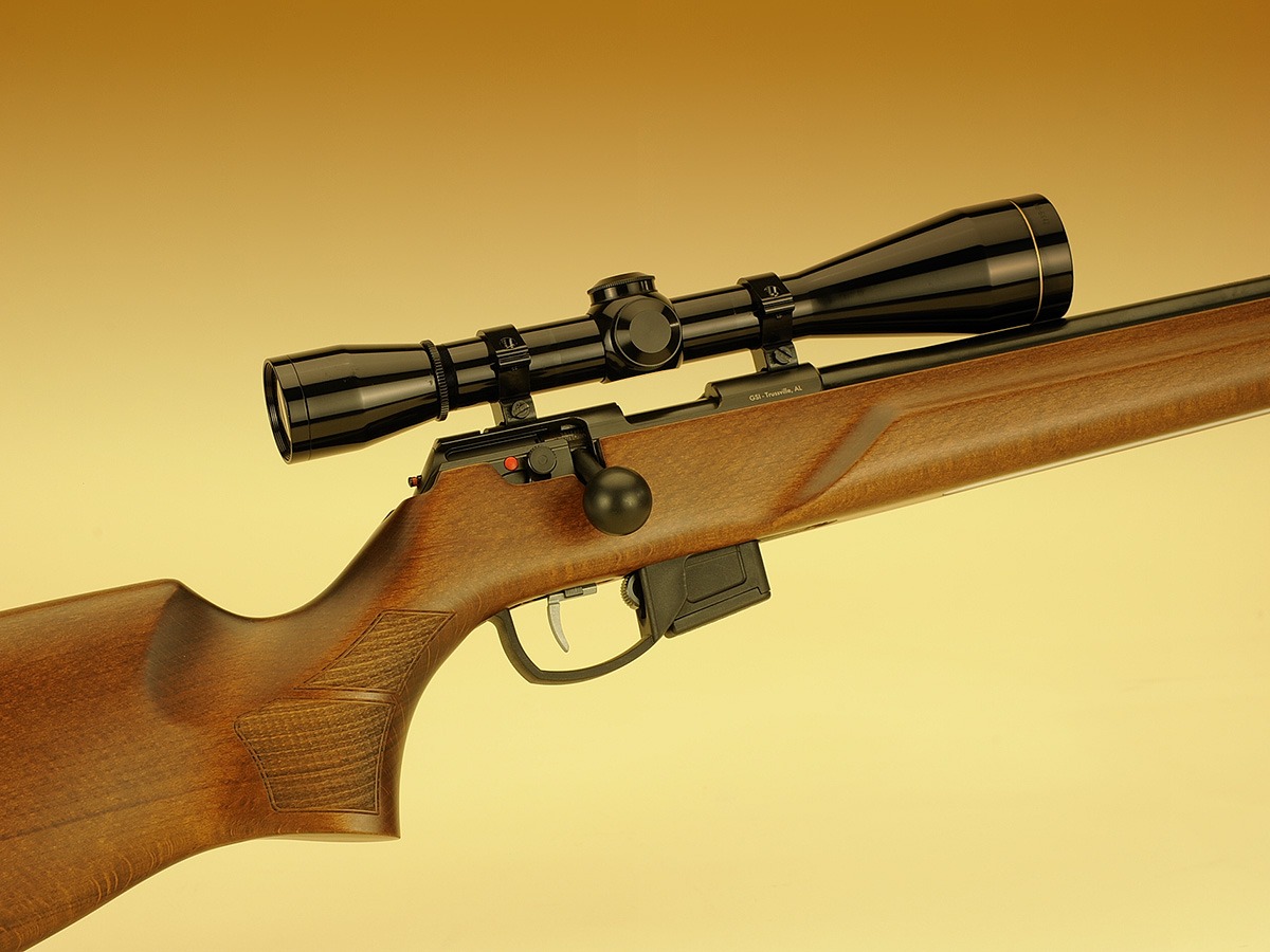 Anschutz Model 1761 Review: Nearly Perfect Plinker - Gun Digest