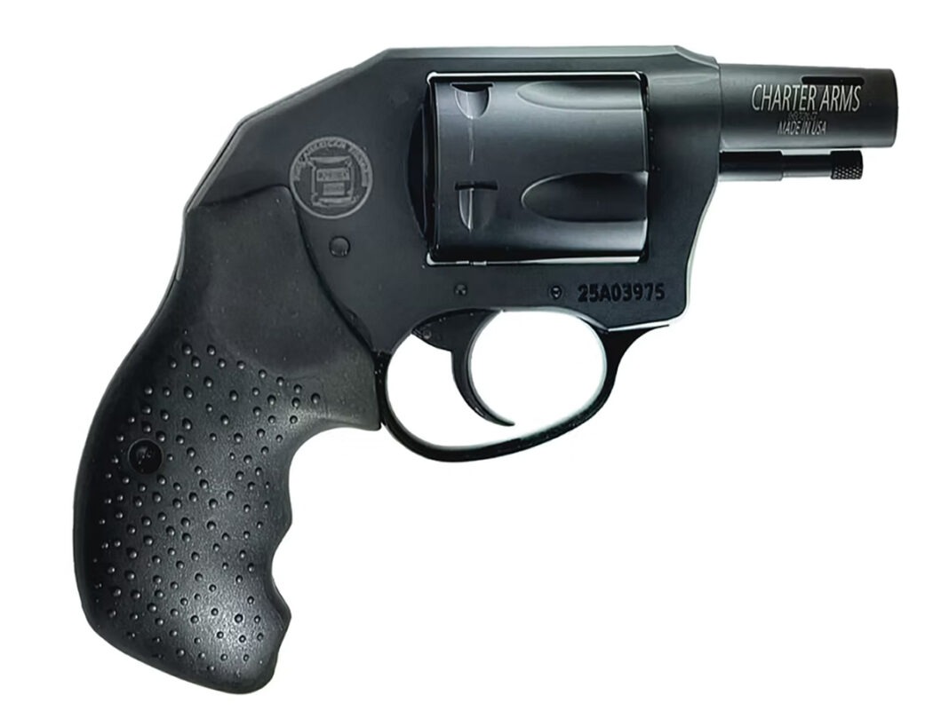 First Look: Charter Arms Boomer Revolver Series