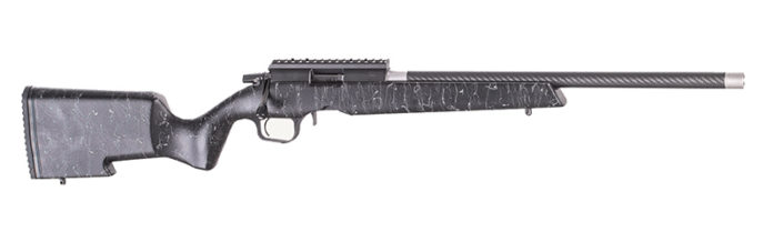 Bleiker Irons And Oddball Rimfire Rifles - Gun Digest