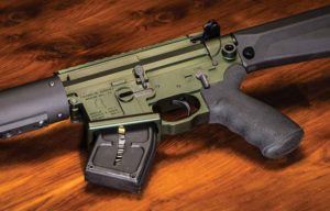 AR Review: Franklin Armory's F17-L Breaks Boundaries - Gun Digest