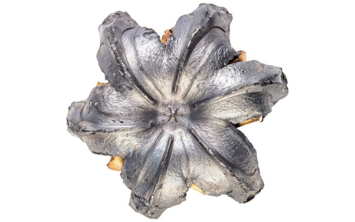 First Look: Federal .44 Magnum HST - Gun Digest