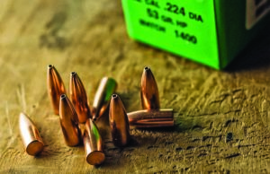 .22-250 Ammo: 7 Top Loads For Any Purpose - Gun Digest