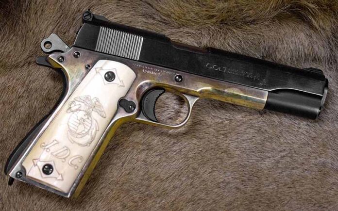 On The Range With The Finks GSP 1911 - Gun Digest