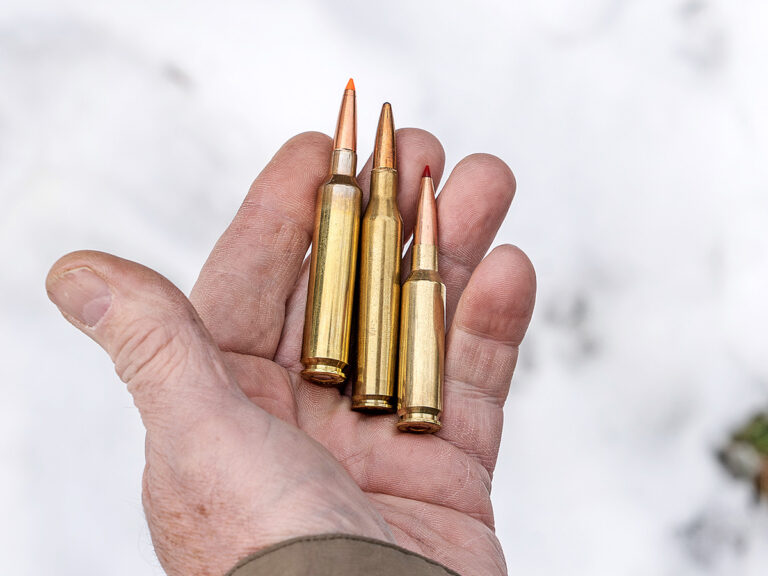 Modern Rifle Bullets: Baby Steps Toward Perfection - Gun Digest