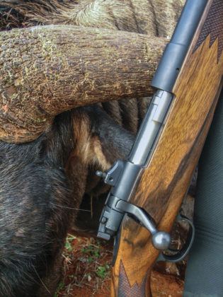 Open Sights 101: Upgrades, Adjustments and Uses - Gun Digest