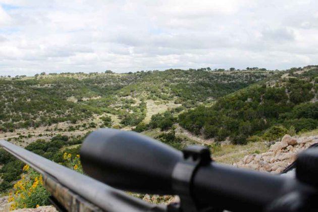 How To Use Natural Clues To Read The Wind - Gun Digest