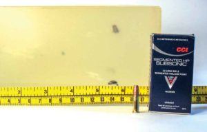 The .22 LR For Self Defense: Good, Bad Or Crazy? - Gun Digest