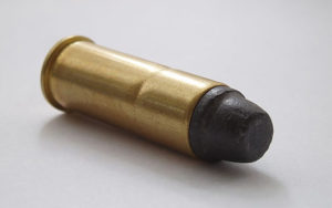 .44 Magnum Ammo: 8 Top Options For Hunting, Protection And Plinking ...