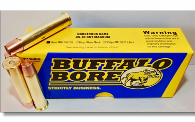 .45-70 Ammo Buyer’s Guide: The Good Kind Of Big Gov’t - Gun Digest