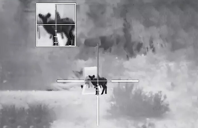 Best Thermal Scopes: Looking Hot - Gun Digest