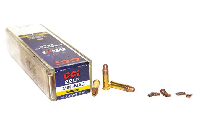 .22LR Ammo: Top Hunting Loads Tested - Gun Digest