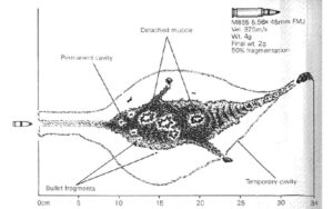 Green Tip 5.56: Is It Anything Special? - Gun Digest