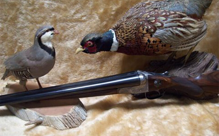 The Greener: There’s Nothing Quite Like A Double-Barrel Shotgun - Gun ...