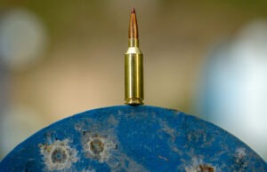 A Closer Look At Hornady’s .22 ARC - Gun Digest