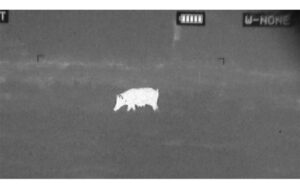 Best Thermal Scopes: Looking Hot - Gun Digest