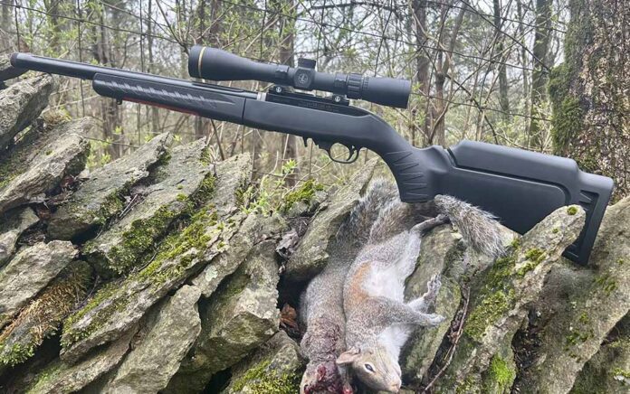 On The Range With Three Great Rimfire Rifles - Gun Digest