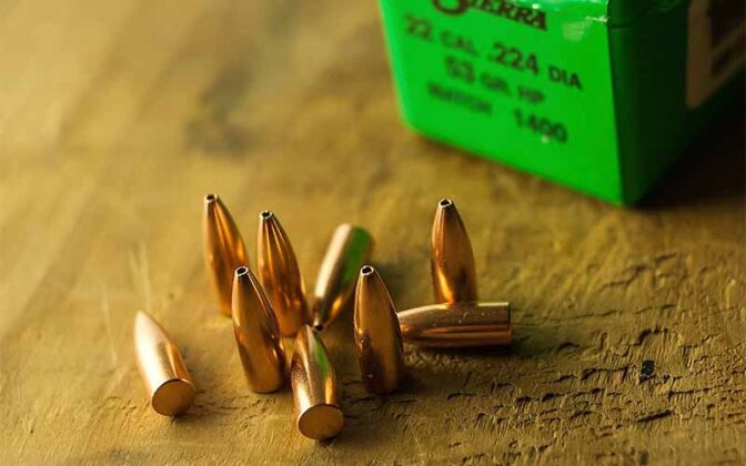 Small Projectiles, Small Details - Gun Digest