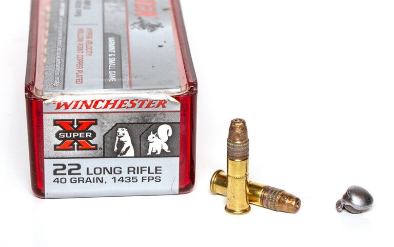 .22LR Ammo: Top Hunting Loads Tested - Gun Digest